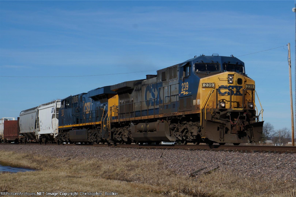 CSX 239